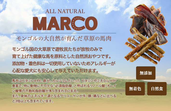 MARCO | ペット用品のFLF